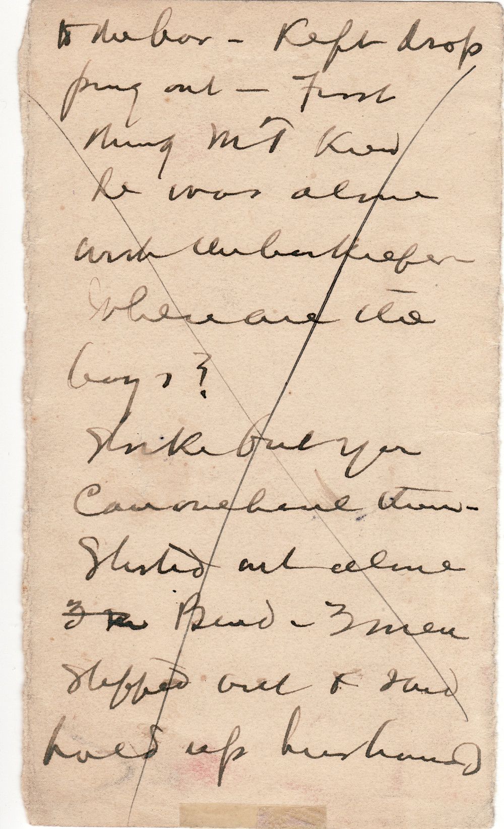 Mark Twain's Notes About People, Places, and an Incident